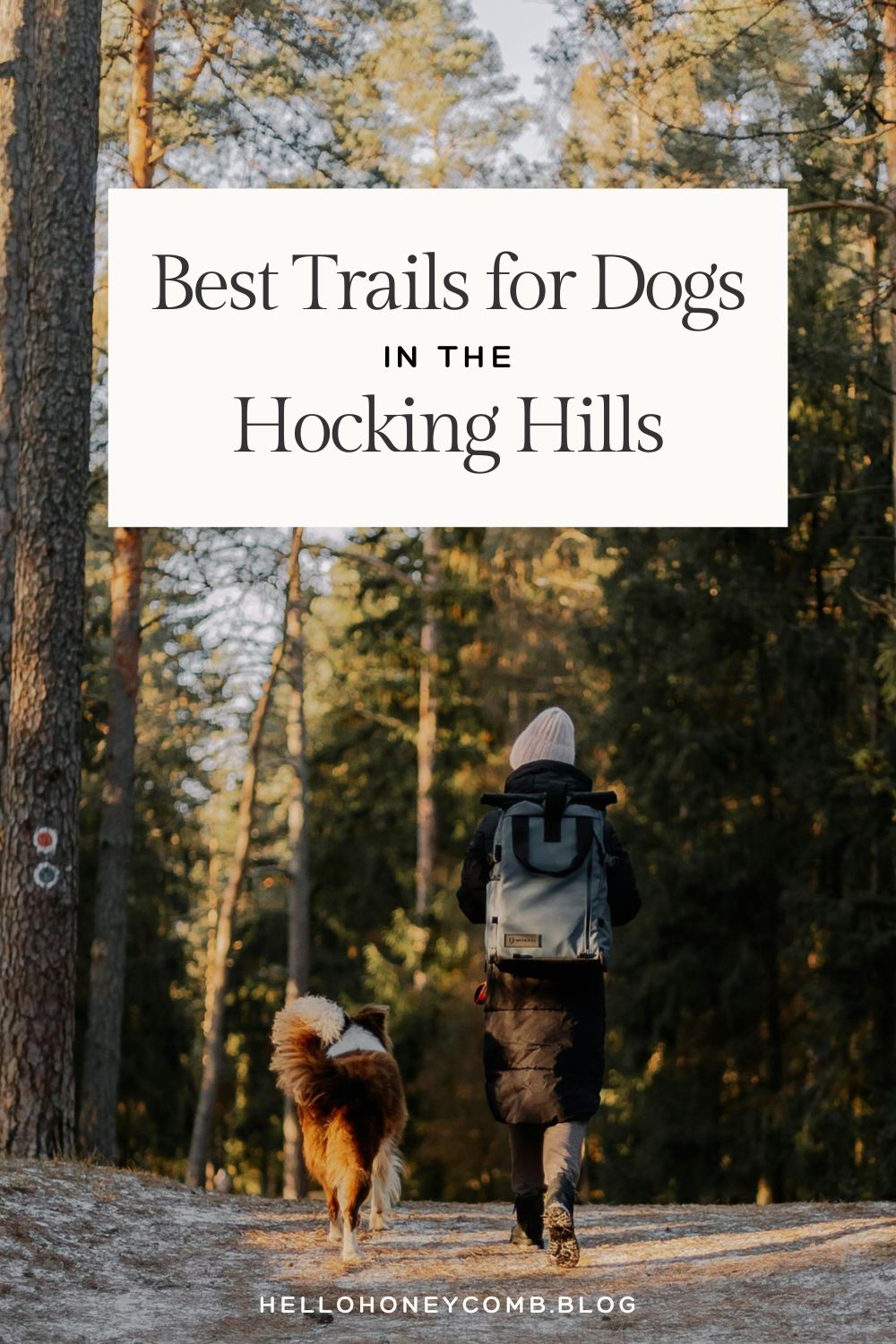 Best Trails for Dogs in the Hocking Hills - Hello Honeycomb