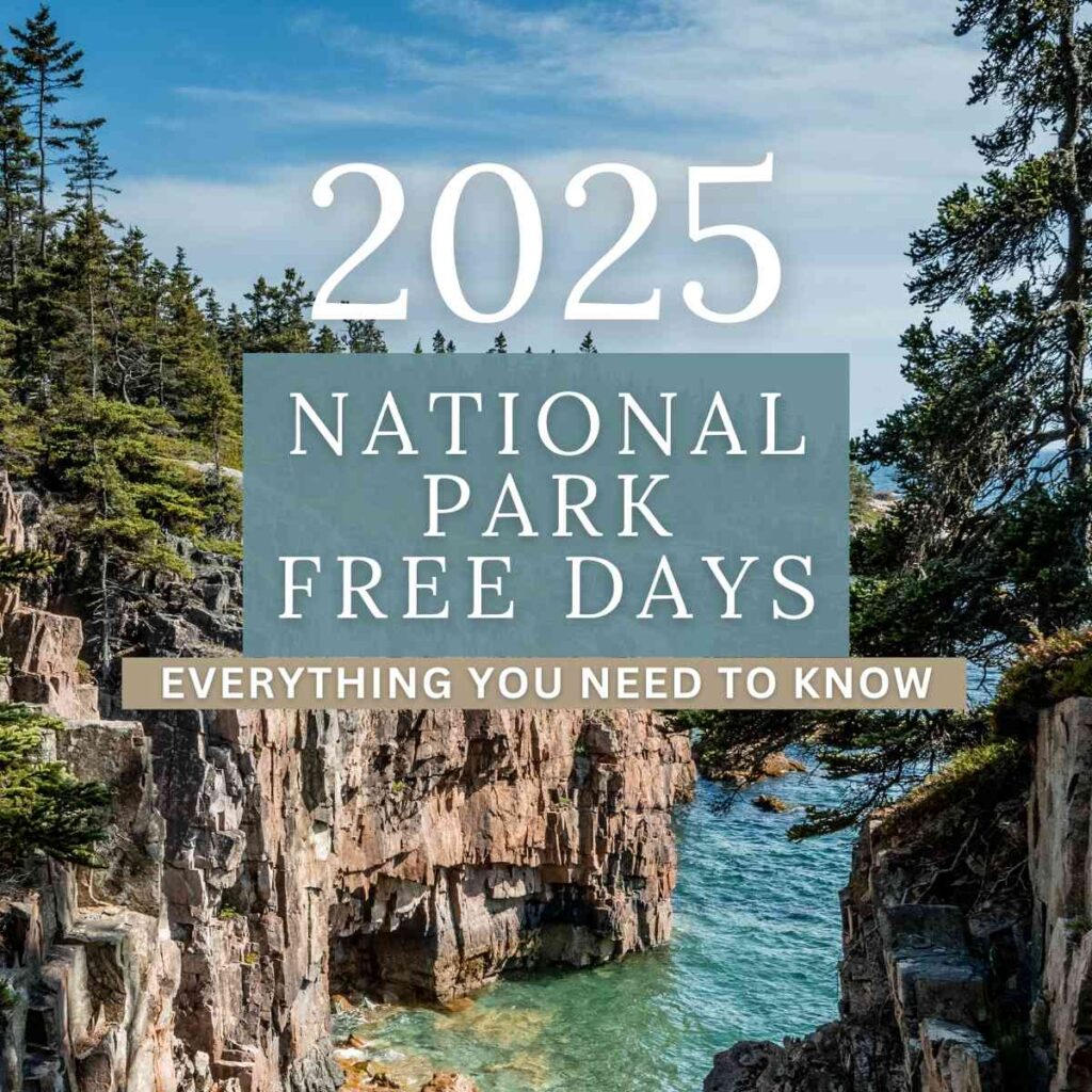 How To Do the 1000 Hours Outside Challenge - Hello Honeycomb